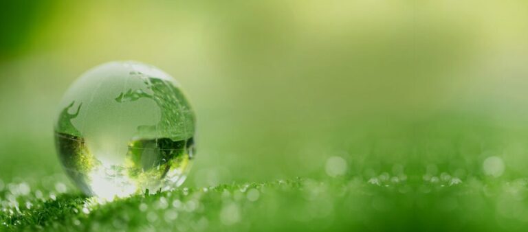 Our Projects - Element Resources